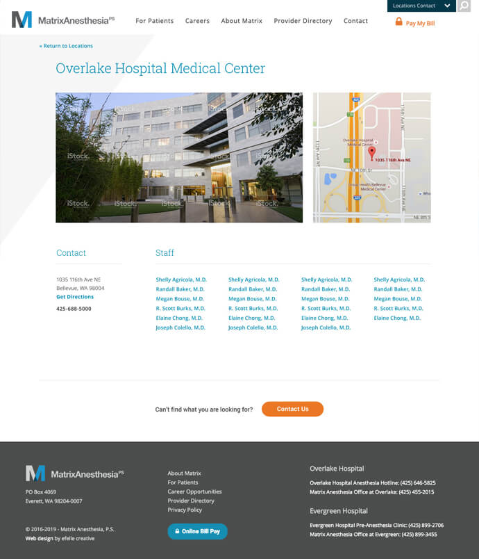 Matrix Anesthesia : efelle creative, Seattle, WA