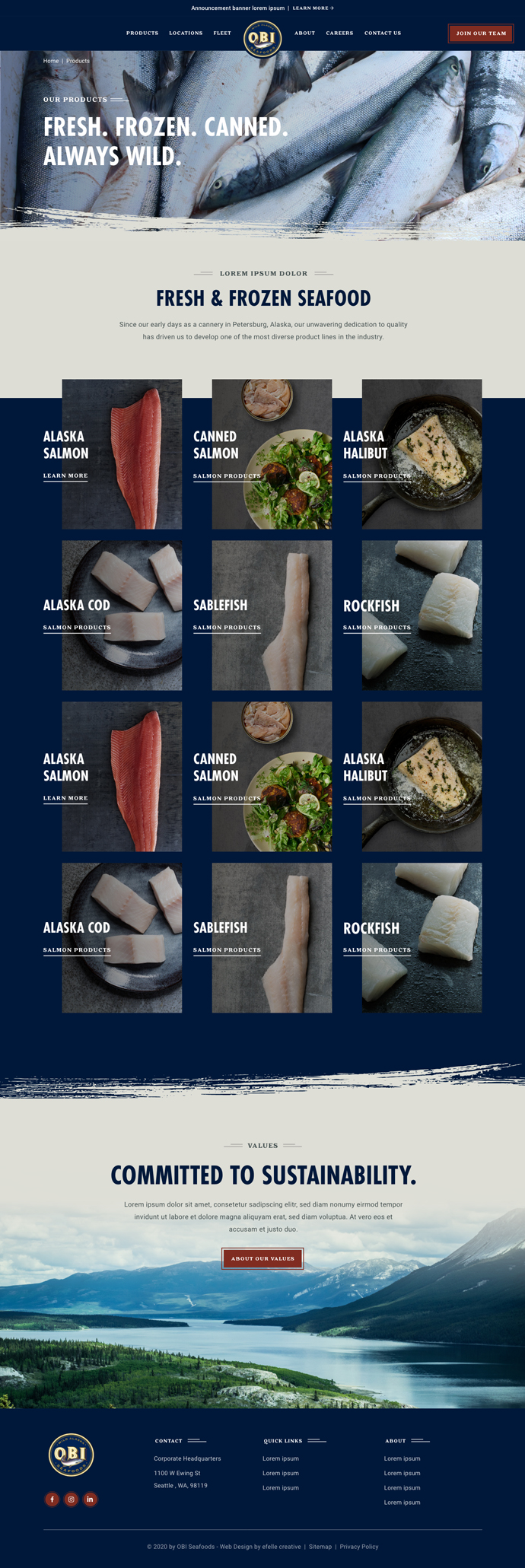 OBI Seafoods : efelle creative, Seattle, WA