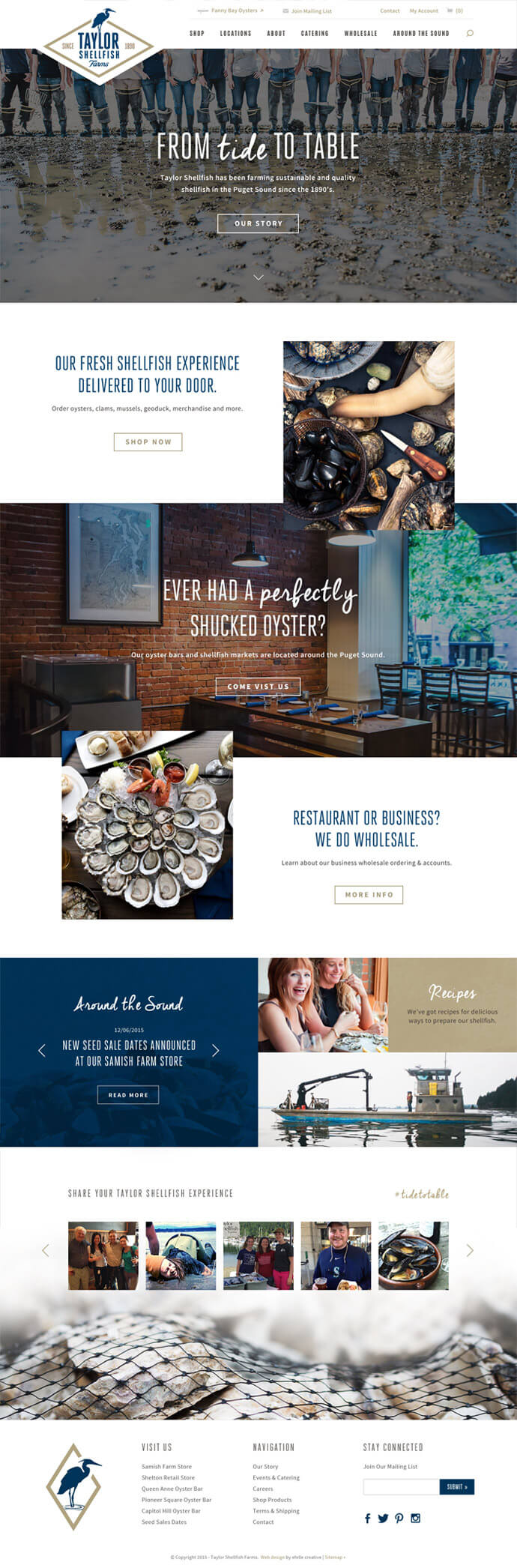 Taylor Shellfish Farms : efelle creative, Seattle, WA